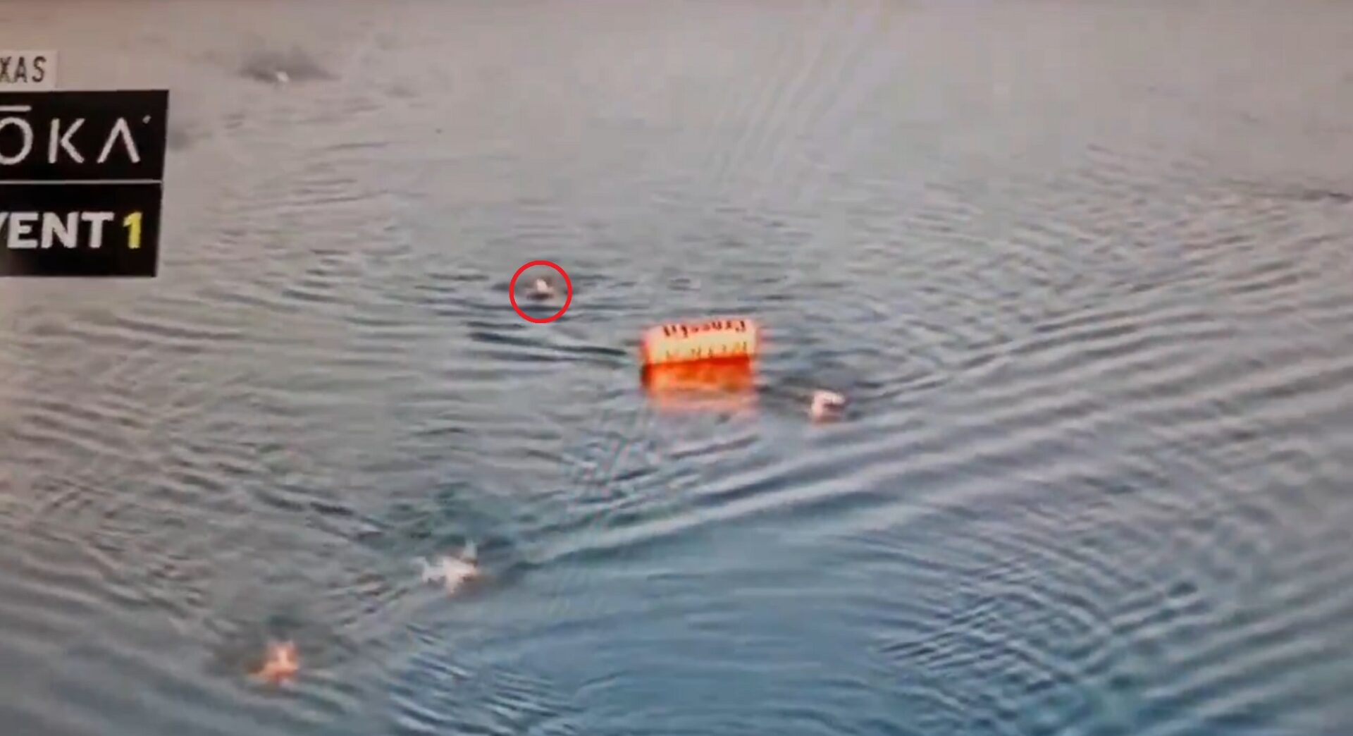 Tragedia en los CrossFit Games: muere el atleta Lazar Dukic en mitad de ...