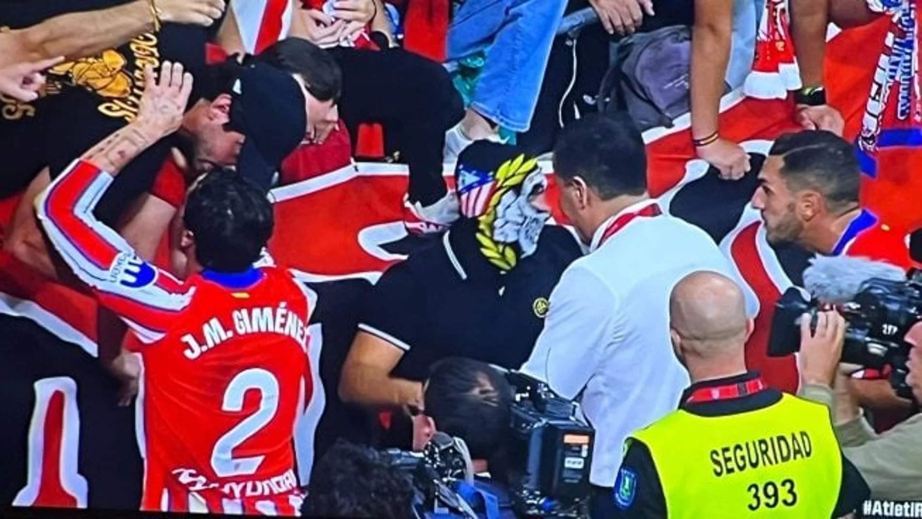 Ultras, fútbol y testosterona - Artículo 14