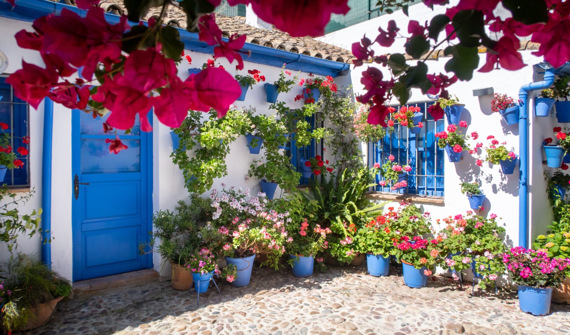 Cuándo son los Patios de Córdoba en 2025: una fiesta Patrimonio de la ...